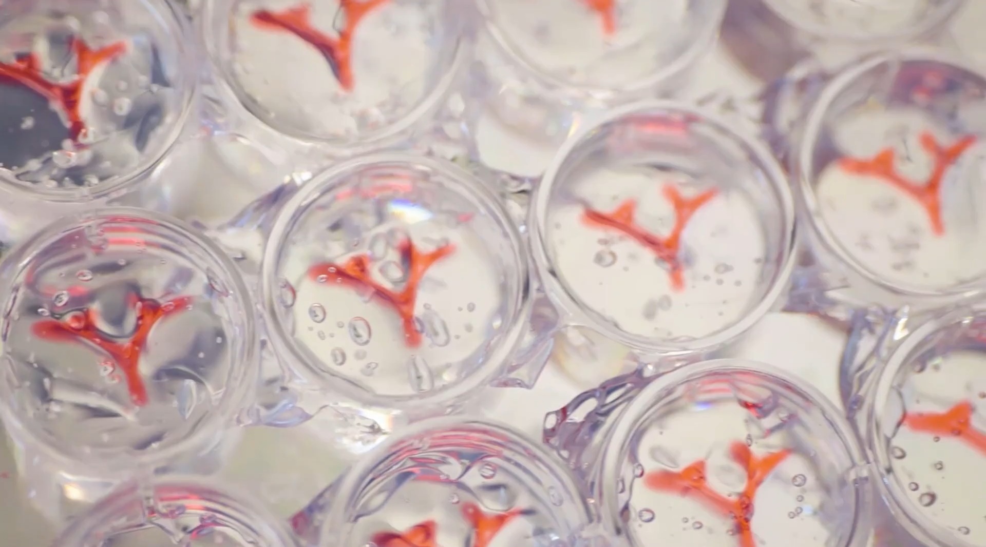 Bio3DPrinting Takes a Giant Step Forward in Human Tissue Engineering